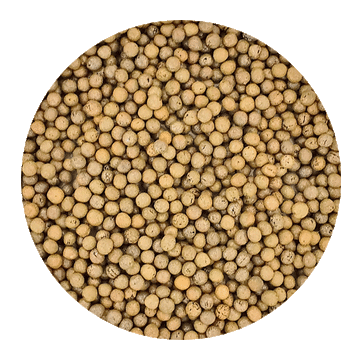 Understanding Seed Types and Treatments: A Comprehensive Guide ...