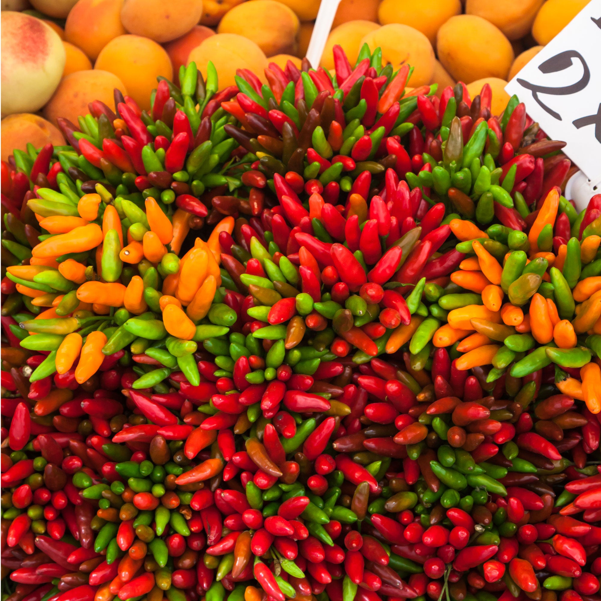 Chillies – Quality Plants & Seedlings