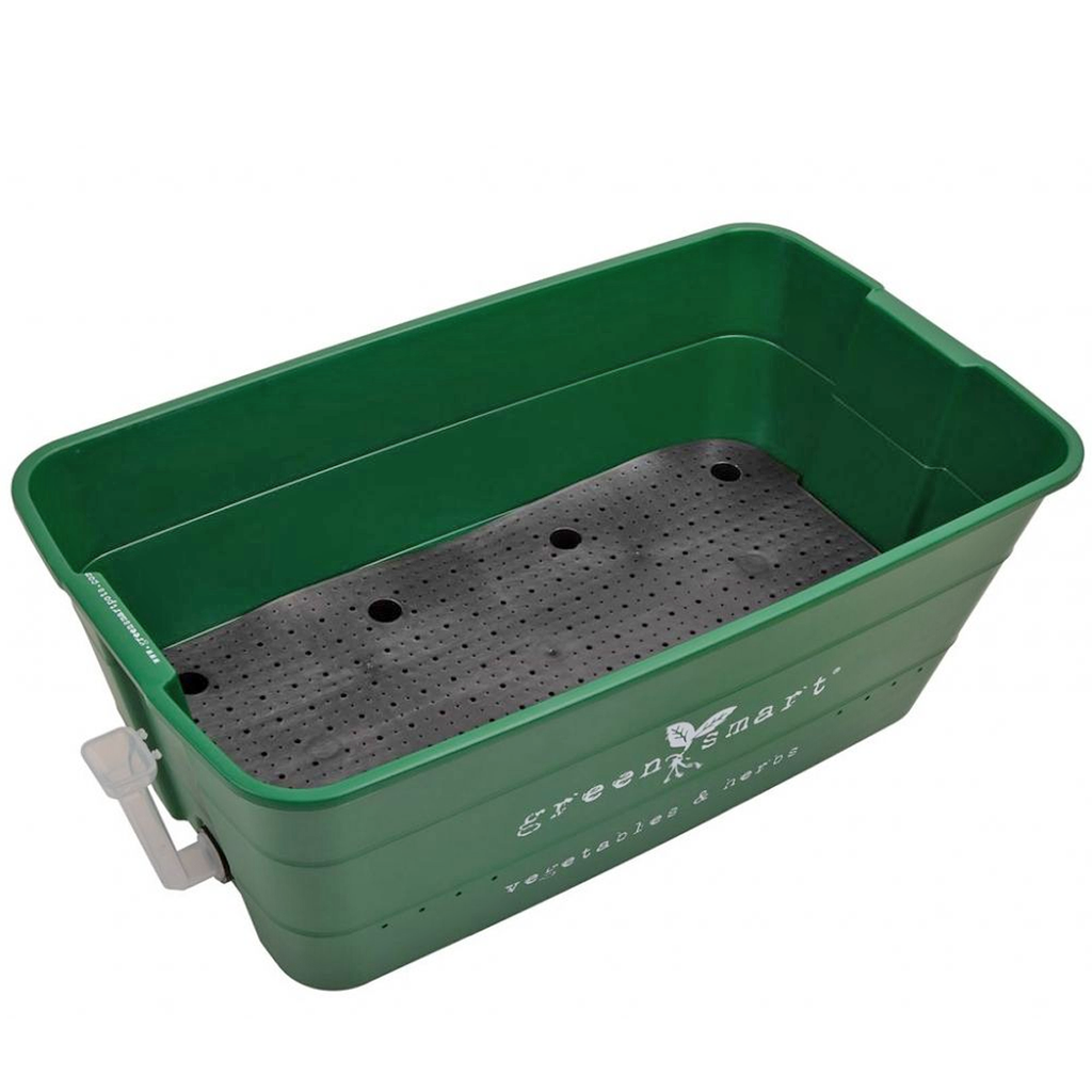 GreenSmart® Vegetable & Herb Wicking Bed – Quality Plants & Seedlings