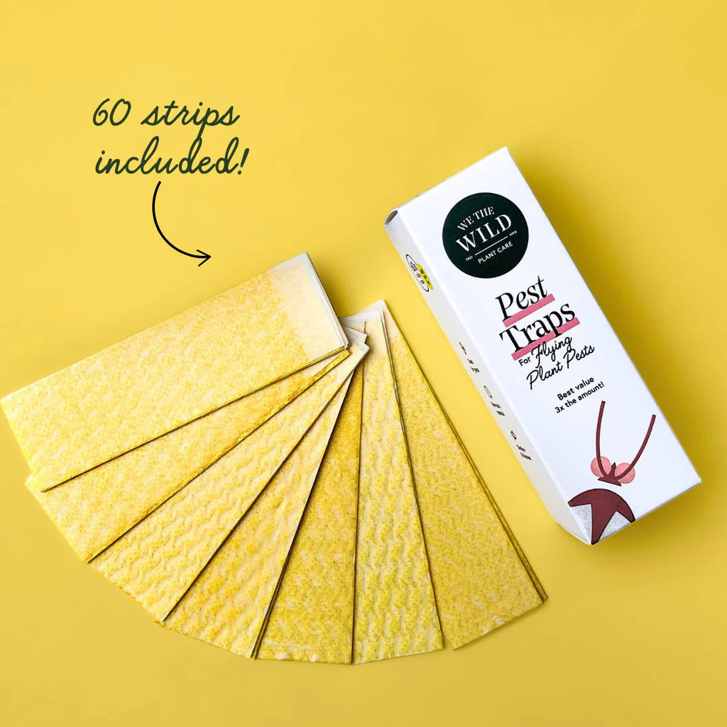 Fungus Gnat Traps (60 pest strips) – Quality Plants & Seedlings