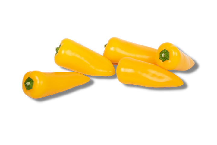Snack (Yellow) Capsicum Seedlings – Quality Plants & Seedlings